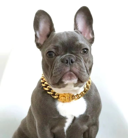 BrickPaws – BrickPaws.co